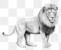 PNG Lion sit drawing sketch | Premium PNG - rawpixel