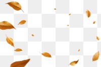 PNG Falling Autumn leaf effect, | Premium PNG - rawpixel