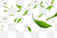 PNG Green tea leaves flying | Premium PNG - rawpixel