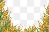 PNG Corn backgrounds plant food | Premium PNG - rawpixel