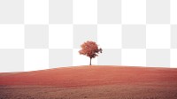 PNG lone tree sitting top | Premium PNG - rawpixel