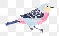 PNG Bird art painting pattern. | Premium PNG - rawpixel