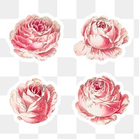 Vintage rose sticker collection | Premium PNG - rawpixel