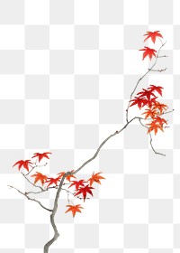 Traditional Japanese maple leaf ornamental | Premium PNG Sticker - rawpixel