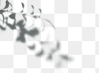PNG Shadow leaves, transparent background | Premium PNG - rawpixel