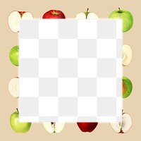 Hand drawn fresh apples frame | Premium PNG - rawpixel