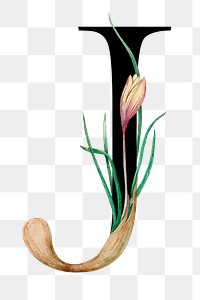 Png alphabet j sticker font | Premium PNG Sticker - rawpixel