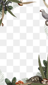 Jungle frame png transparent background | Free PNG - rawpixel