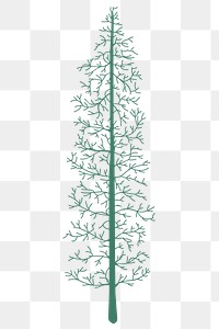 Cute pine tree sticker design | Premium PNG Sticker - rawpixel