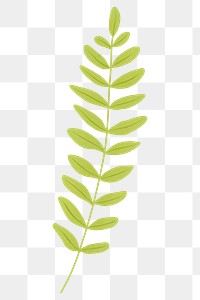 Fern branch design element transparent | Premium PNG Sticker - rawpixel