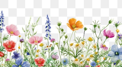 PNG wildflower meadow border, transparent | Free PNG - rawpixel
