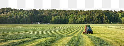 Farm landscape png, transparent background | Free PNG - rawpixel