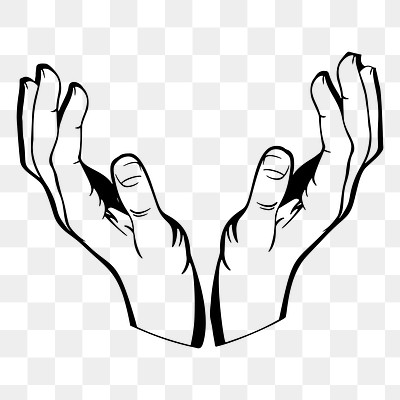 Cupping hands png sticker, transparent | Free PNG - rawpixel