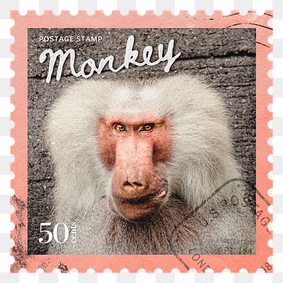 Monkey postage stamp, animal collage | Premium PSD - rawpixel