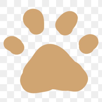 Dog paw png sticker, transparent | Premium PNG - rawpixel