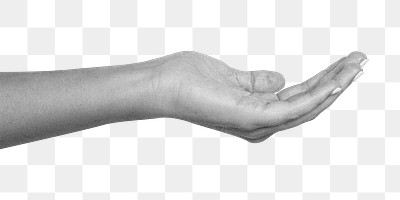 Empty palm png hand giving | Premium PNG - rawpixel