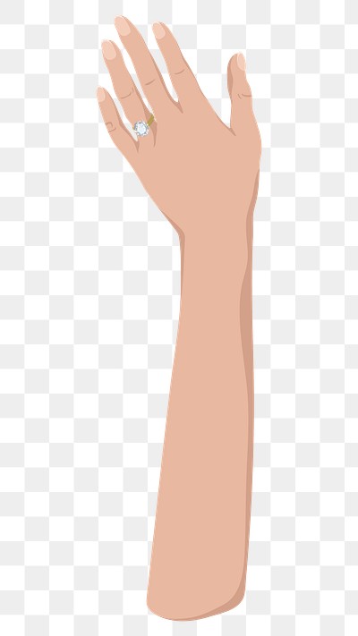 Engaged woman hand illustration | Free Photo Illustration - rawpixel
