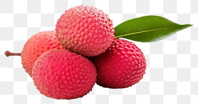 PNG Fruit berry plant food. | Premium PNG - rawpixel