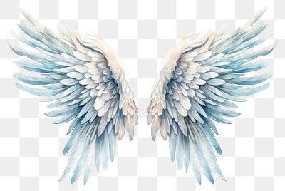 PNG Angel bird creativity archangel | Free PNG - rawpixel