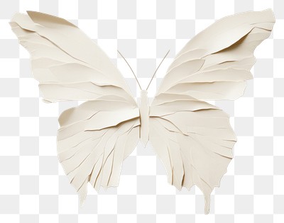 PNG Paper art butterfly white. | Free PNG - rawpixel