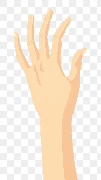 PNG Light skin hand finger | Premium PNG - rawpixel
