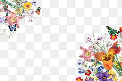 Spring flower border png, transparent | Premium PNG - rawpixel