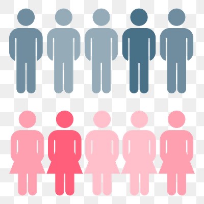 Corporate gender distribution statistics vector | Premium Vector - rawpixel