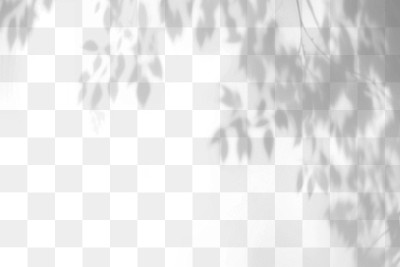 PNG Leaf shadow effect, transparent | Premium PNG - rawpixel