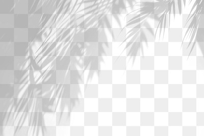 PNG Leaf shadow effect, transparent | Premium PNG - rawpixel