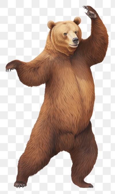 PNG Brown bear dancing wildlife | Premium PNG - rawpixel