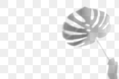 Shadow Monstera leaf design element | Premium PNG - rawpixel