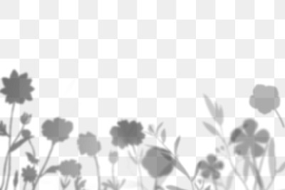 Png flower shadow background, botanical | Premium PNG - rawpixel