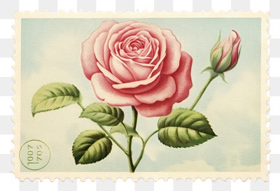 PNG Pink rose postage stamp | Premium PNG - rawpixel