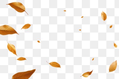 PNG Falling Autumn leaf effect, | Premium PNG - rawpixel