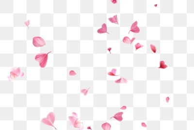 PNG Falling flower pink petals | Premium PNG - rawpixel
