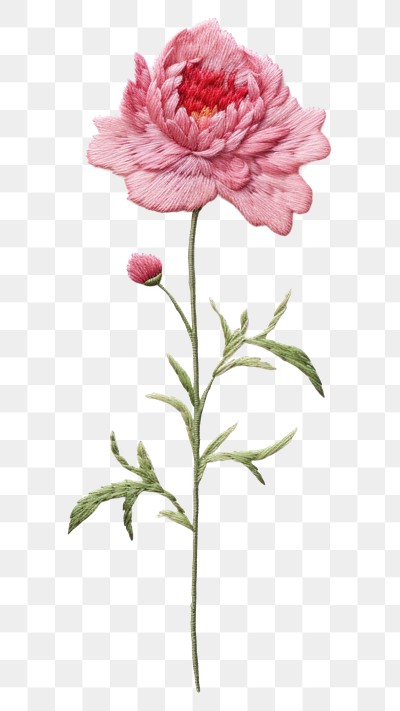 PNG Little Peony embroidery pattern | Free PNG - rawpixel