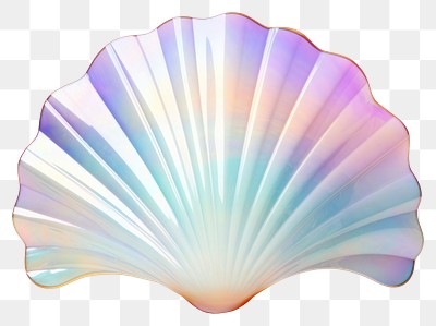 Shell seashell clam white background. | Premium Photo - rawpixel