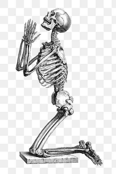 PNG Skeleton kneeling prayer, vintage | Premium PNG - rawpixel