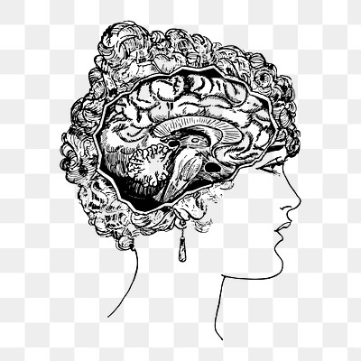 Woman's brain portrait drawing, medical | Free Photo - rawpixel
