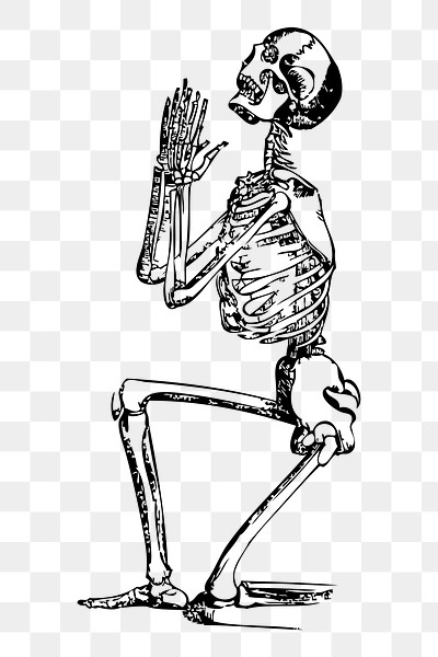 Praying skeleton png sticker, ghost | Free PNG - rawpixel