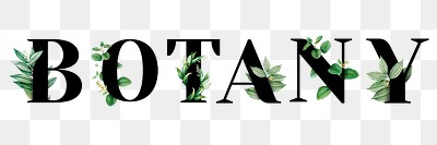 Botanical BOTANY psd word typography | Premium PSD - rawpixel