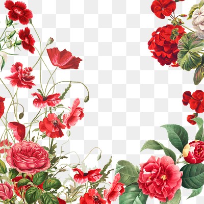 Vintage red flowers frame png | Premium PNG - rawpixel