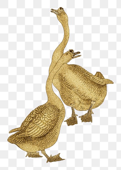 Golden geese vintage illustration | Premium PNG Sticker - rawpixel