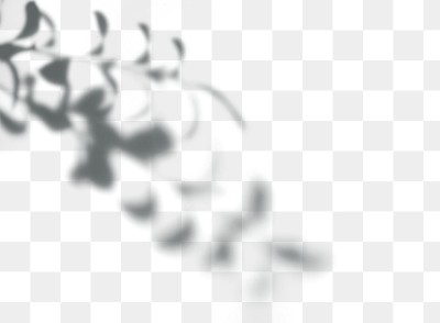 PNG Shadow leaves, transparent background | Premium PNG - rawpixel