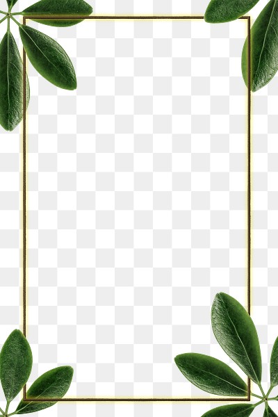 Green leaves rectangle frame design | Premium PNG - rawpixel