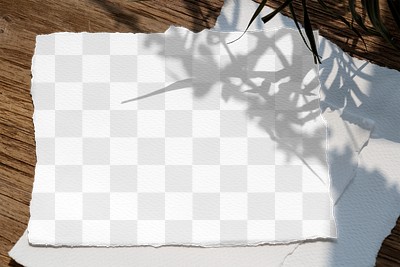 Flower shadow ripped white paper | Premium PNG - rawpixel