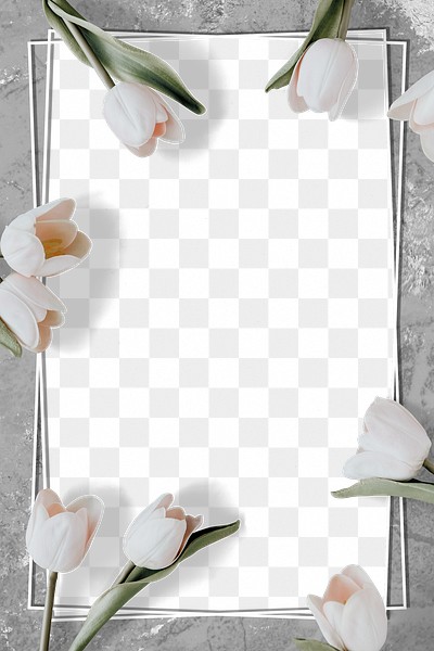 White tulip frame design element | Premium PNG - rawpixel