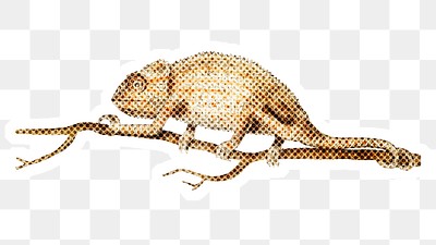 Halftone chameleon sticker white border | Premium PNG Sticker - rawpixel