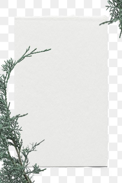 Png spruce twigs border card | Premium PNG - rawpixel