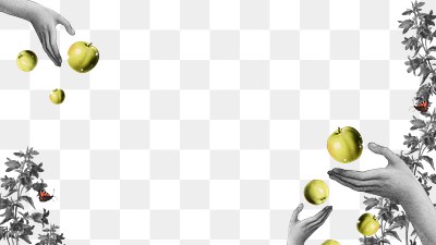 Apples frame png vintage mixed | Premium PNG - rawpixel